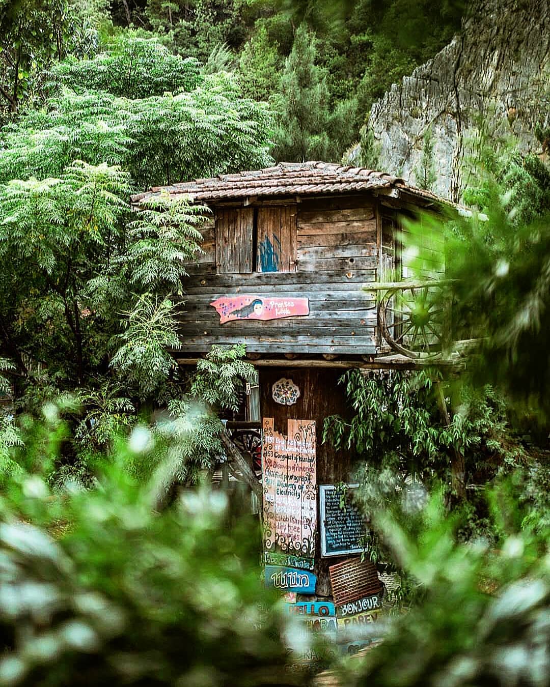 Kadir’s Tree Houses: Turkey’s Best Accommodation for Adventurous Travelers