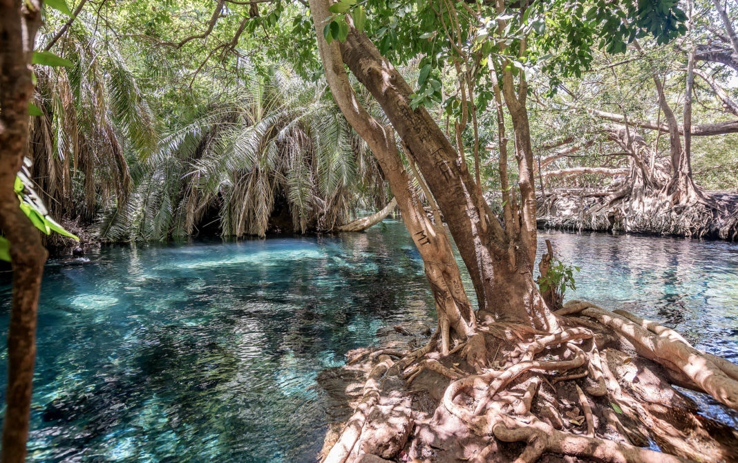 Things to Do in Moshi, Tanzania - Traveler Master