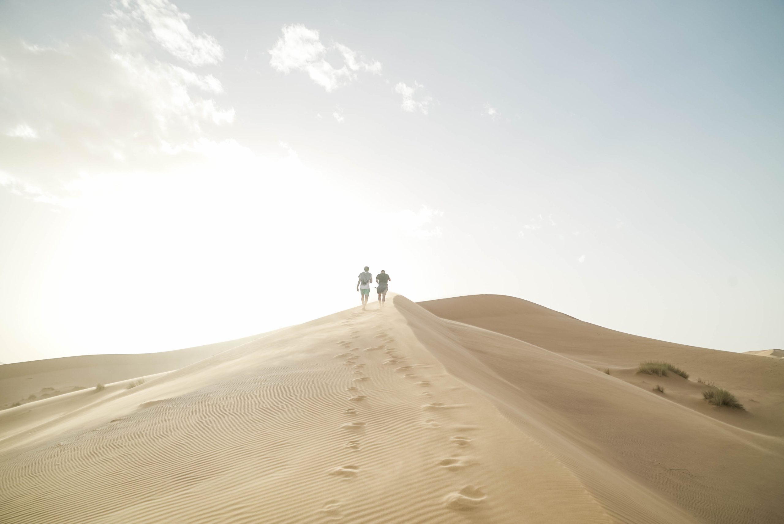 5 Unmissable Activities in North Africa - Traveler Master