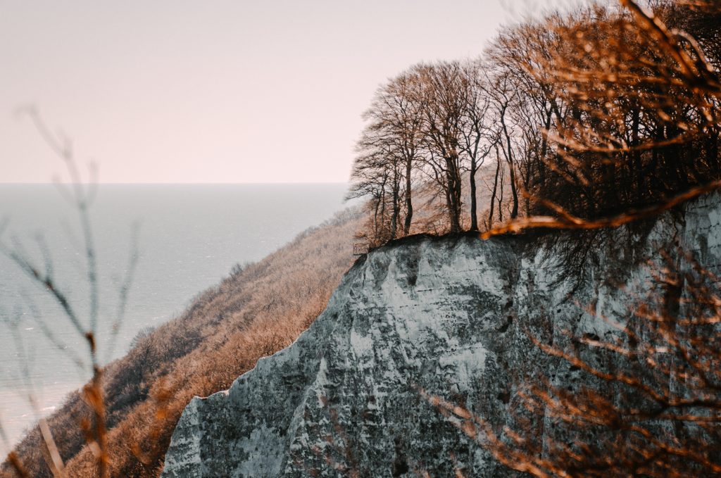 Explore Germany's Ancient Forests - Traveler Master