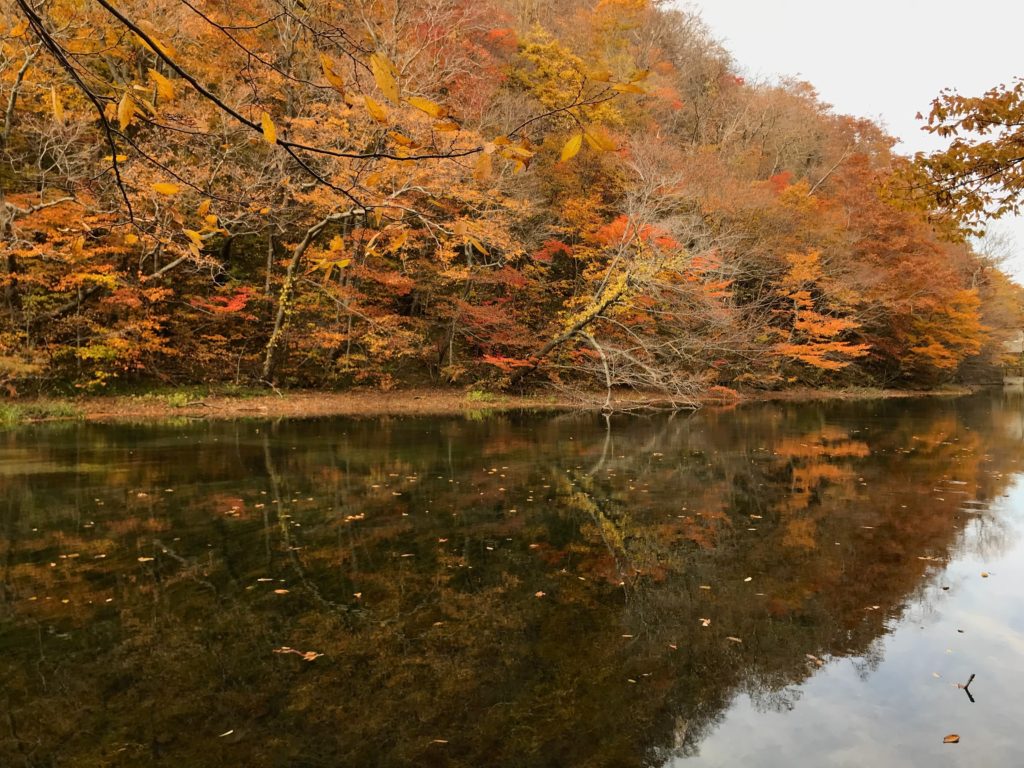 These Japanese National Parks are a Must-see for Nature Lovers ...