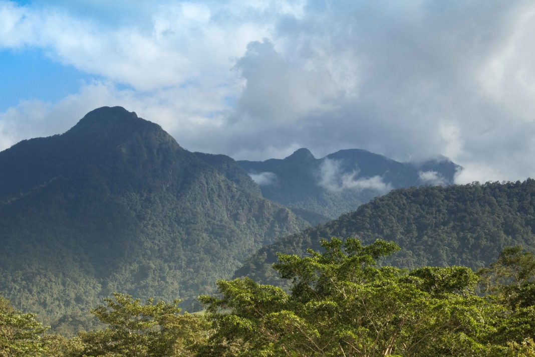 Honduras' National Parks Will Make You Fall Back in Love with Nature ...