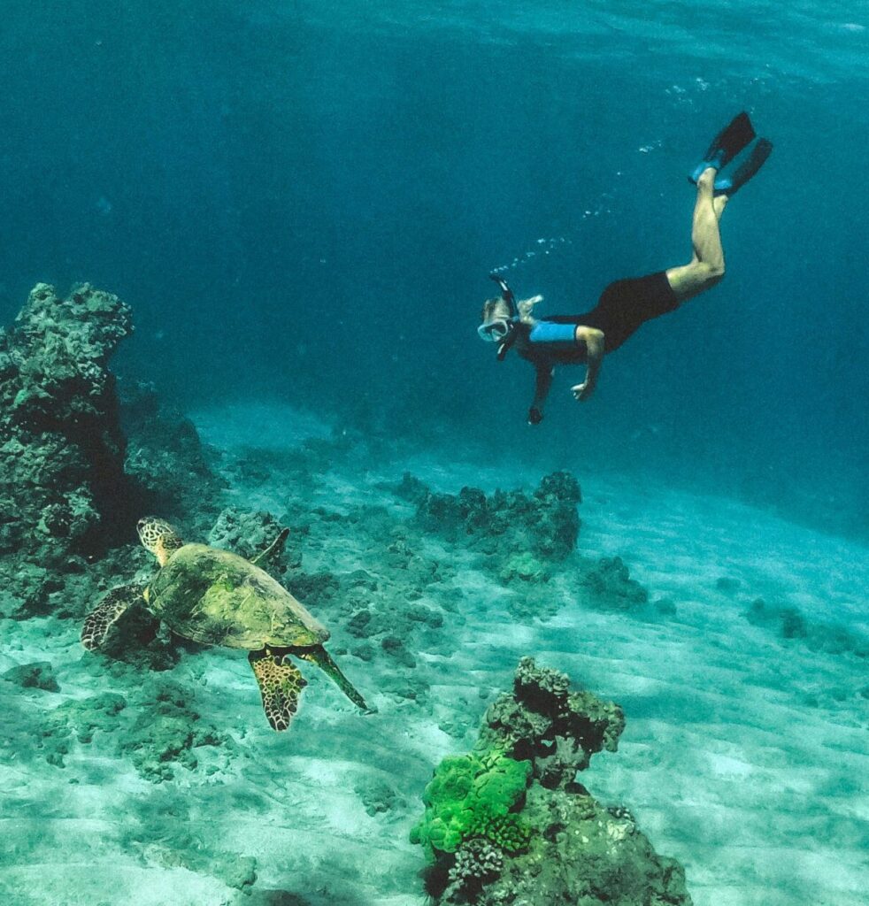 3 Reasons to Book a Scuba Diving Trip - Traveler Master